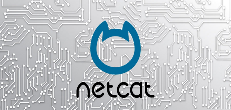 Команда Netcat (nc) в Linux с примерами | Команда Netcat (nc) в Linux с ...