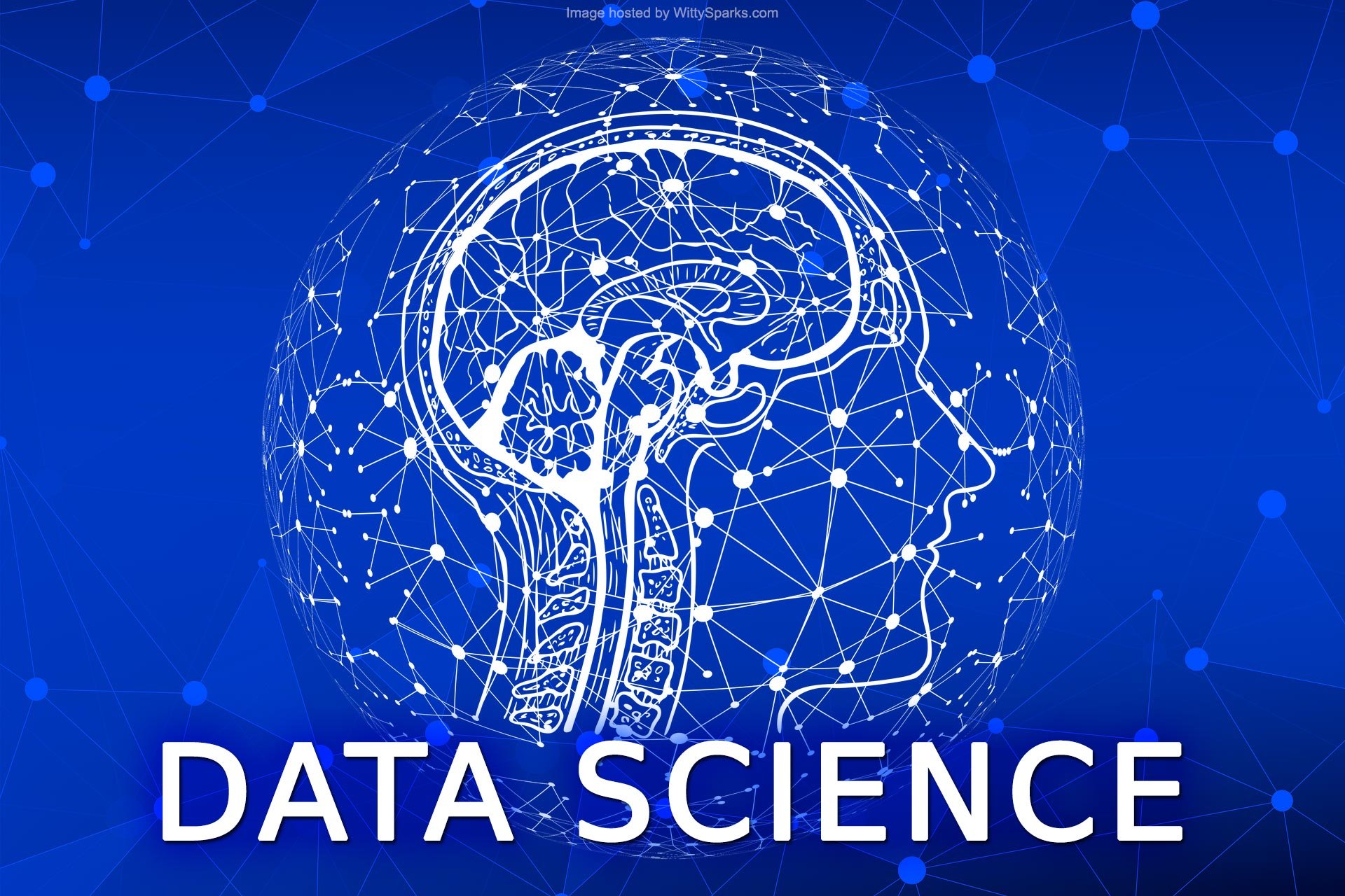 Искусство анализа данных роль Data Science в современном мире