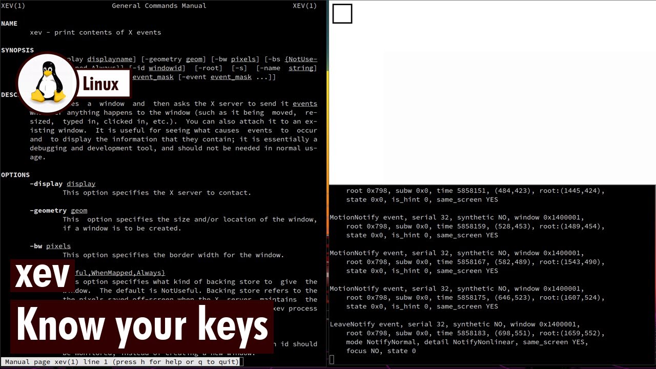 Команда xev в Linux: подробный разбор