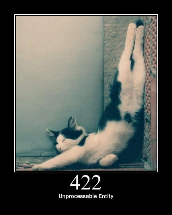 Ошибка 422 Unprocessable Content (Необработанного содержимого) и ...